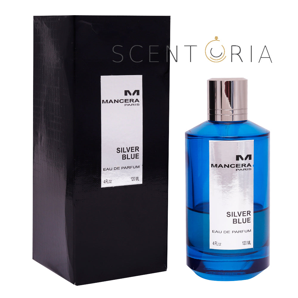 Silver Blue EDP Partial – Scentoria