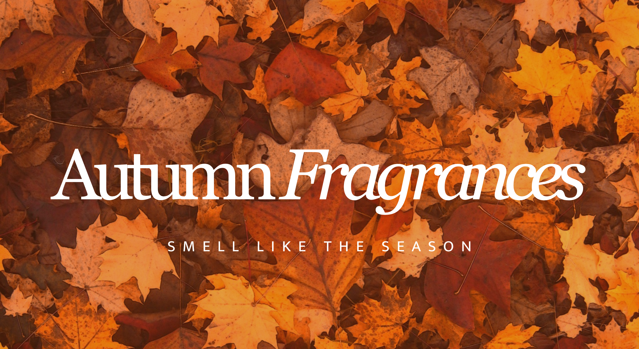 Smell Like the Season: Fragrances for Comfort & Celebration This Autum ...