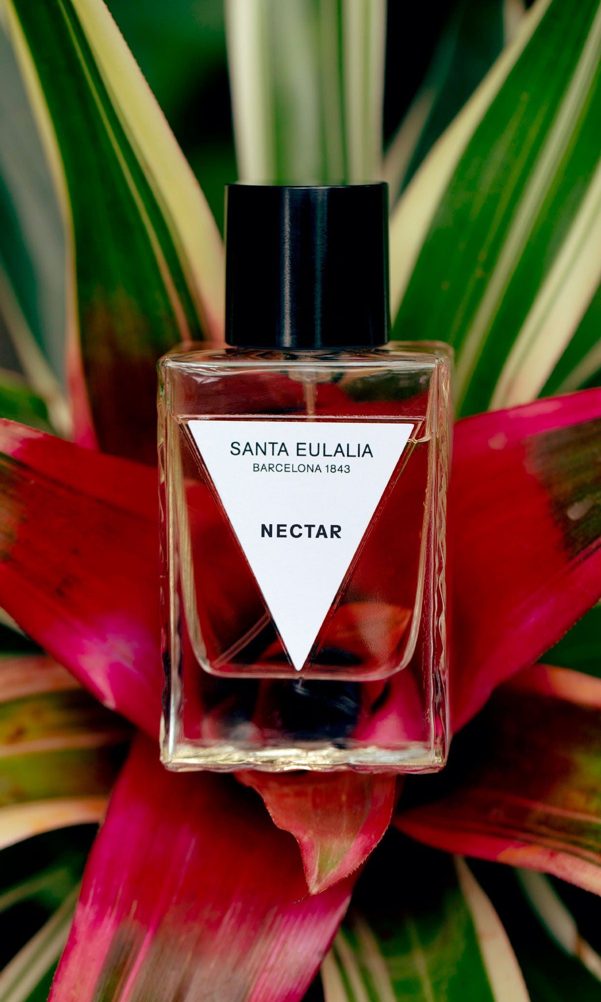 Nectar Parfum – Scentoria